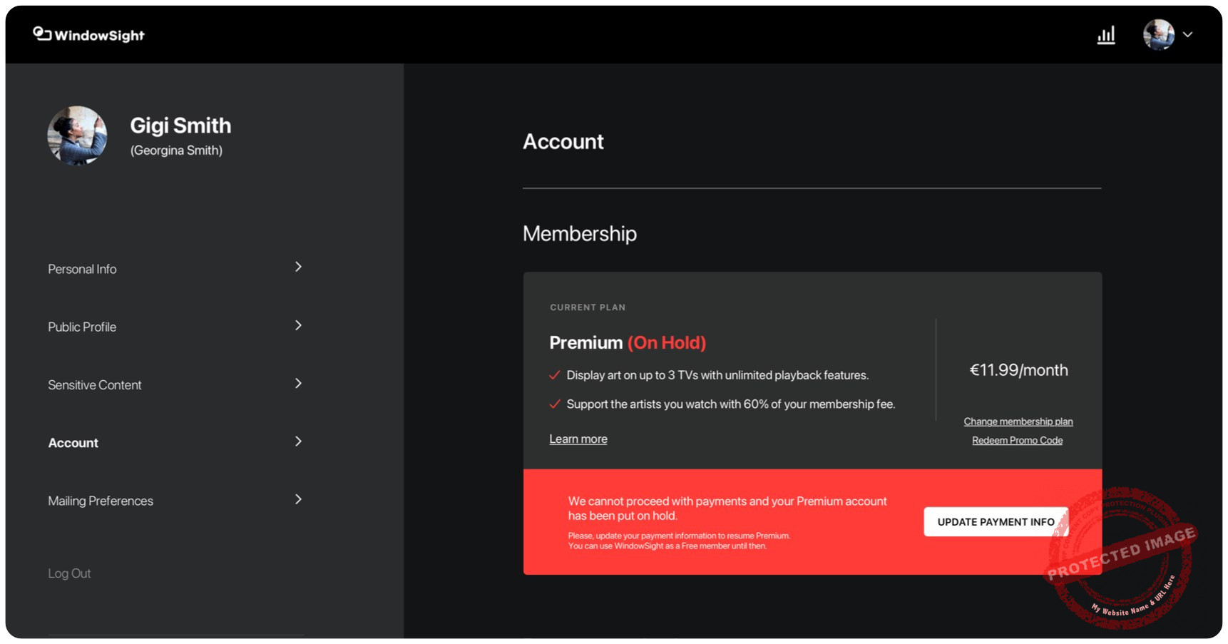 Why is my account on Hold? - WindowSight