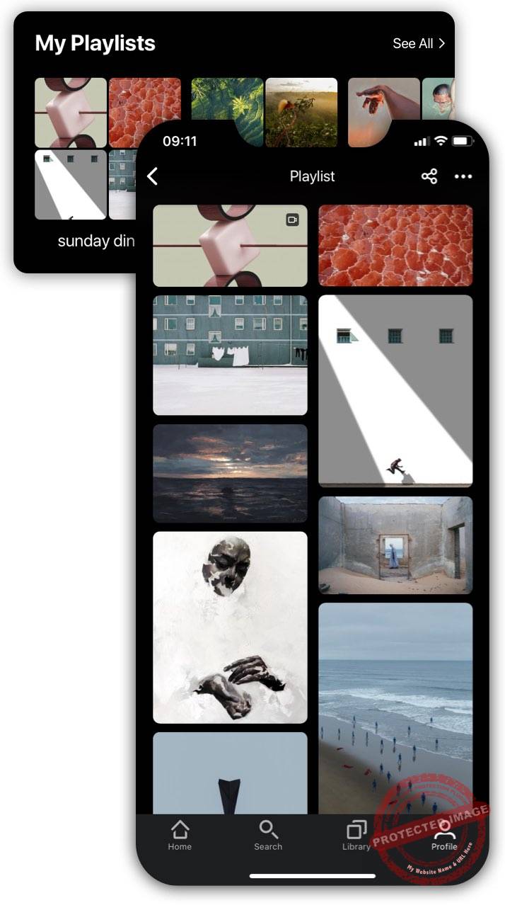 My Playlists - WindowSight