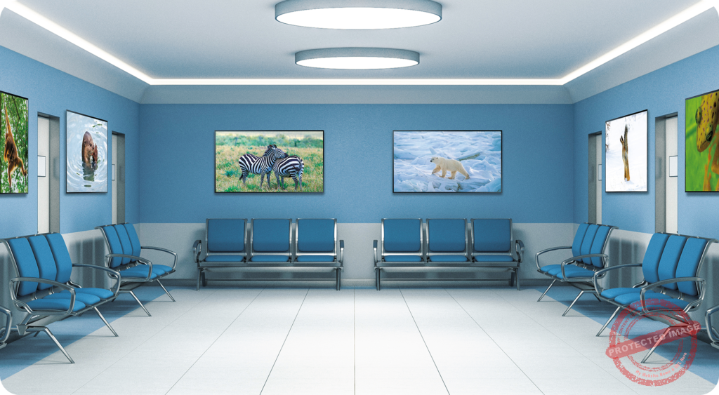 How to Use Color Psychology in Healthcare Facilities