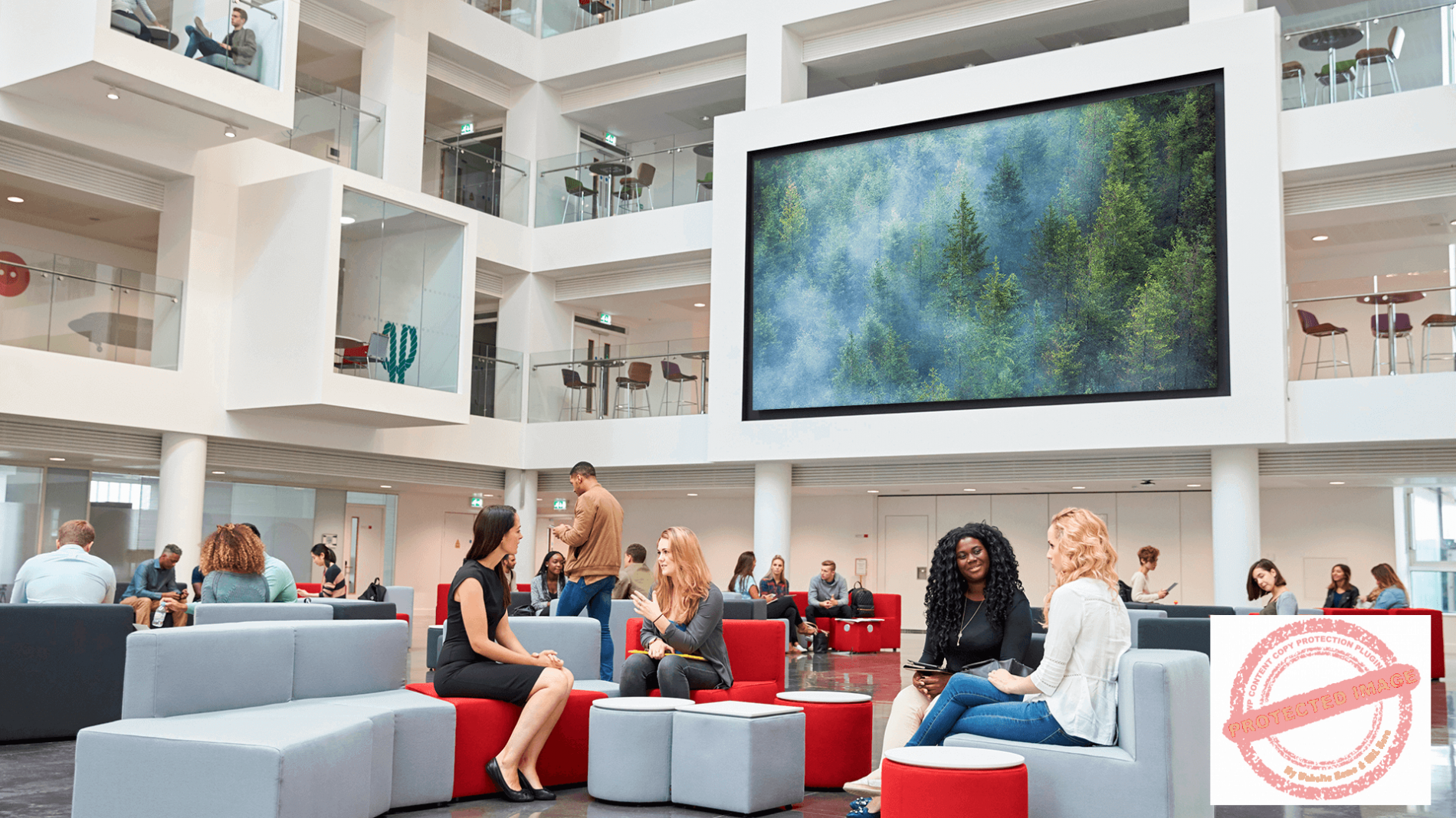 WindowSight partners with Castit: Bringing Cultural Art Experiences to ...