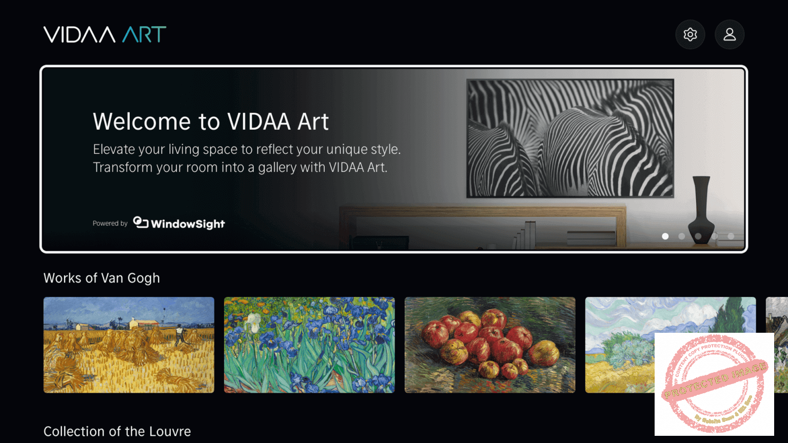 WindowSight and VIDAA Transform TVs into Digital Art Galleries