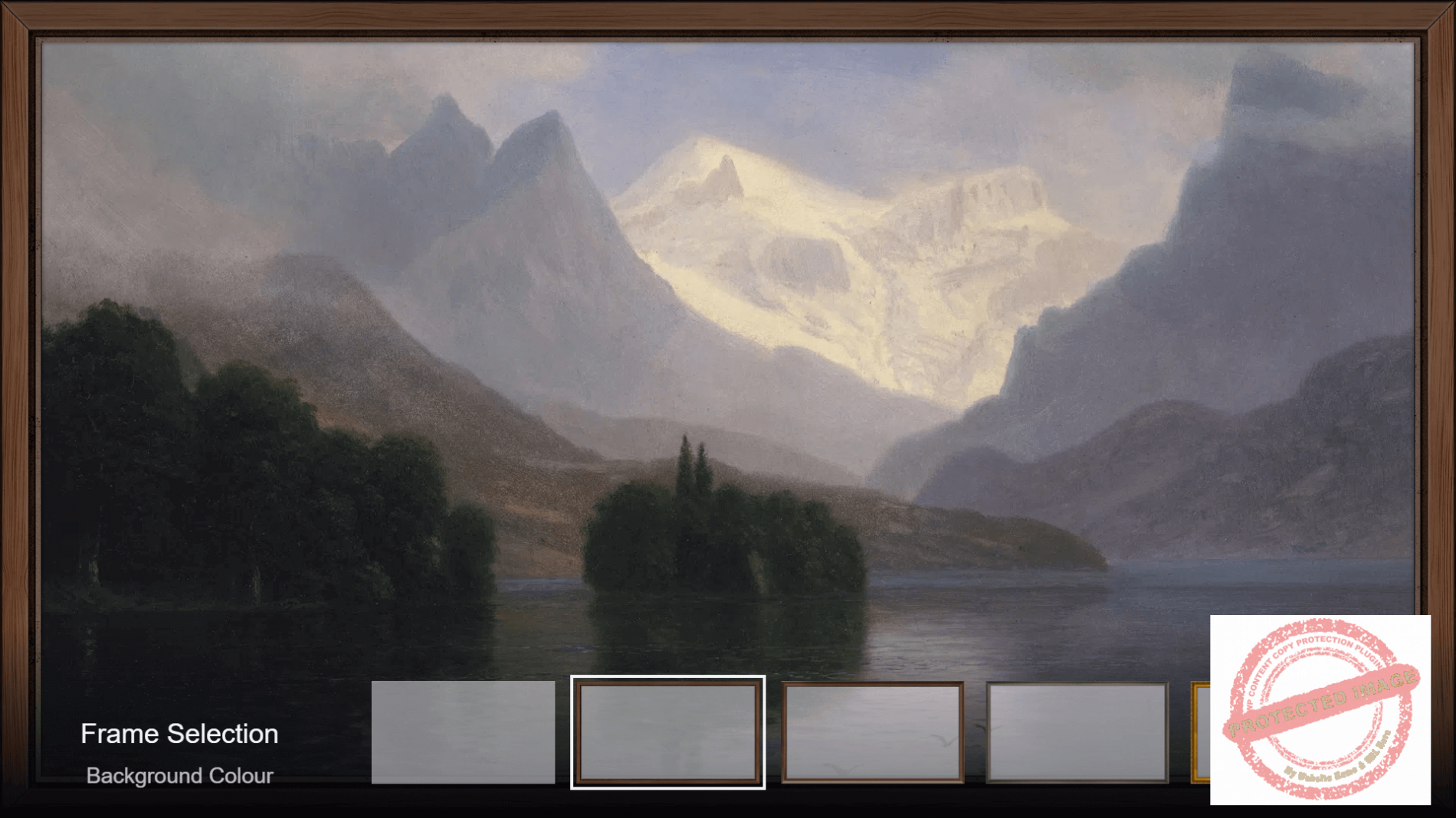 WindowSight and VIDAA Transform TVs into Digital Art Galleries